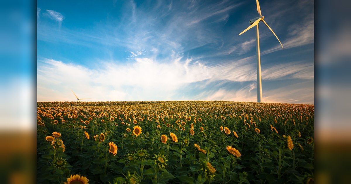 Energieberatung im Rathaus eingestellt | Groß-Umstadt - Website